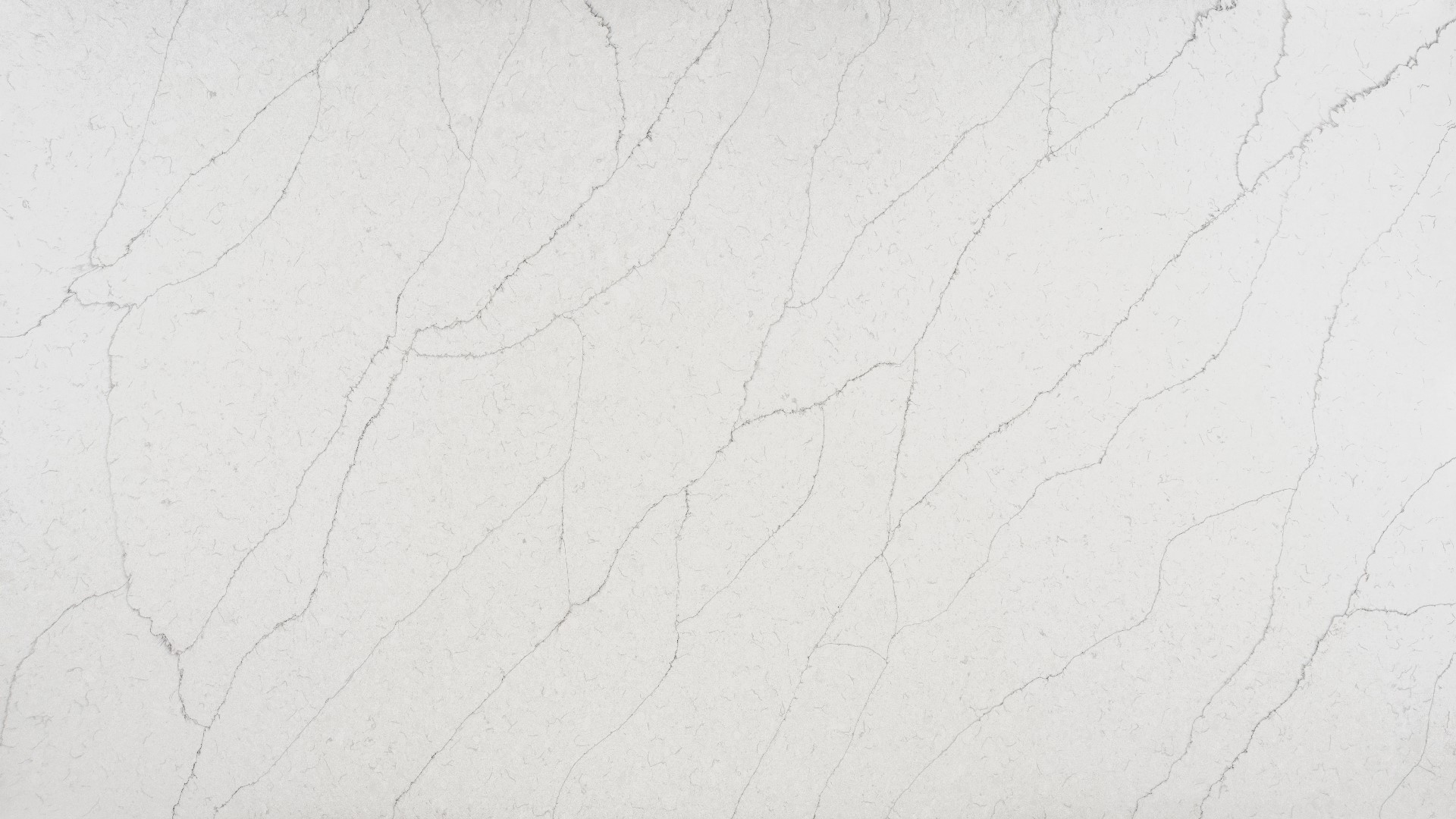 BABA QUARTZ // PRODUCT - CALACATTA MICHELANGELO